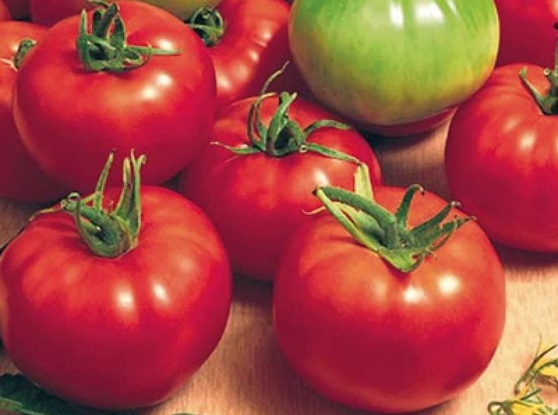 Сортове Домати за Оранжерия Препоръчани от Специалисти
