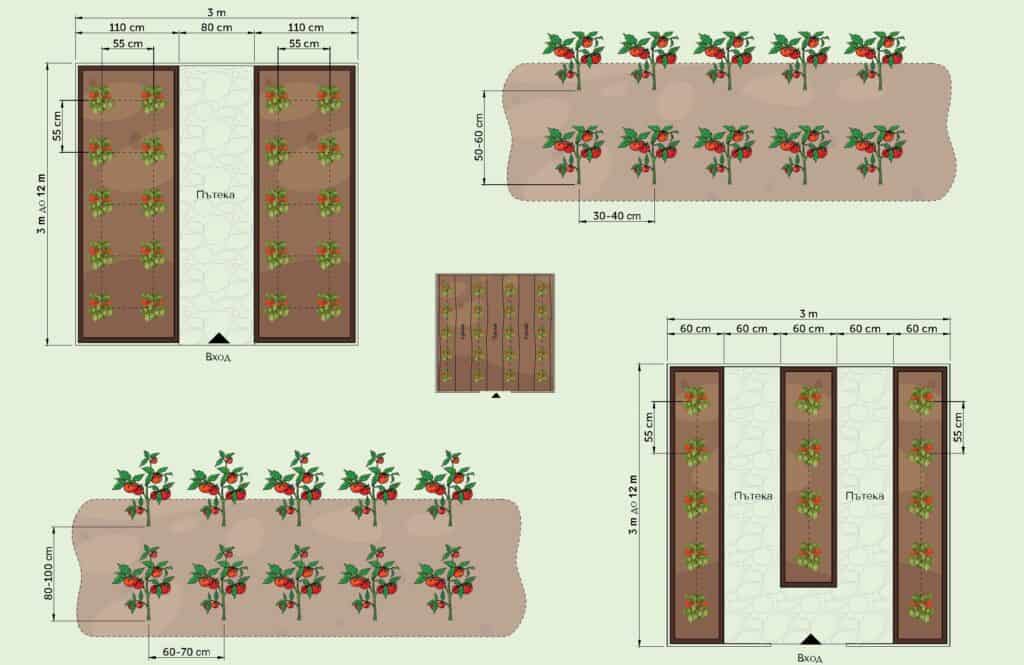 Разстояние при Засаждане на Домати в Оранжерия и на открито (Схеми ...