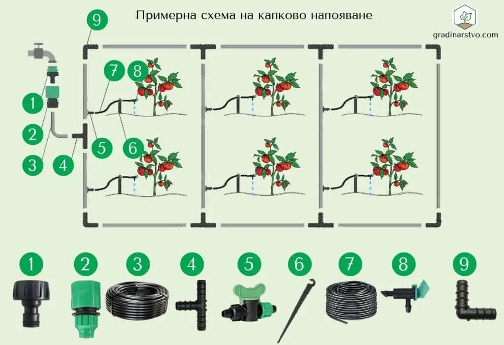Капково Напояване за Оранжерия: Ефективни техники и съвети ...