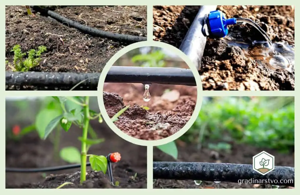 Капково Напояване за Оранжерия: Ефективни техники и съвети ...