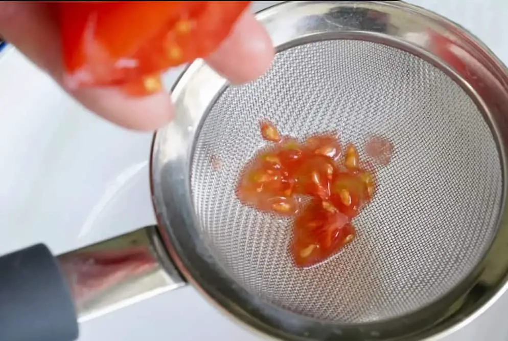 Как се Събират и Съхраняват Семена от Домати - gradinarstvo.com