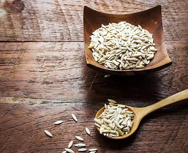 Как се Събират и Съхраняват Семена от Краставици - gradinarstvo.com