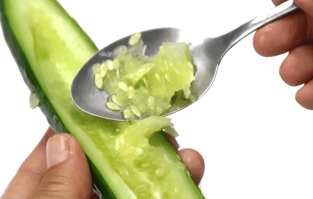 Как се Събират и Съхраняват Семена от Краставици - gradinarstvo.com